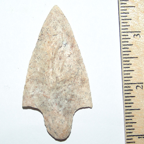 Artifacts Guide- Speckled Marion